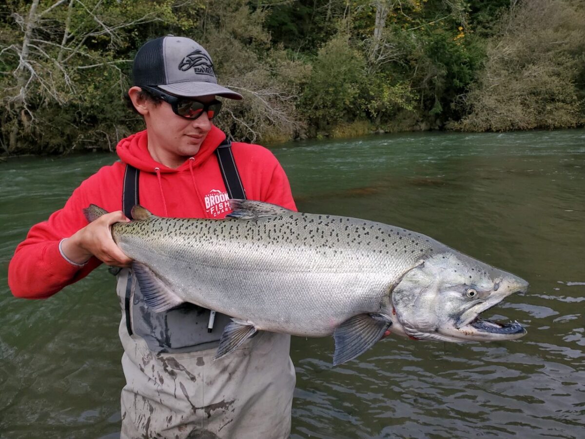 Salmon season starts hot, slows with low water - Wild Rivers Fishing